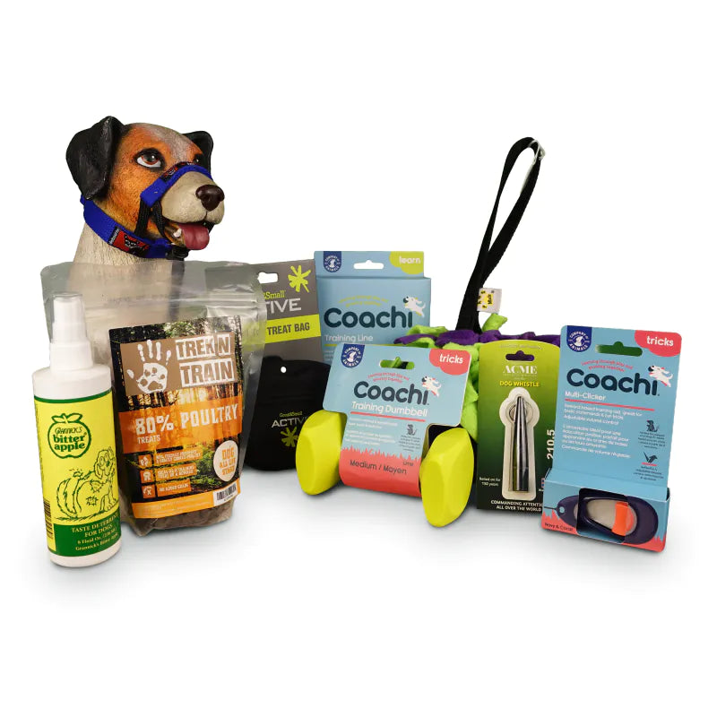 Dog Training – Pets Pantry