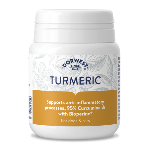 Dorwest Turmeric 100 Tablet – Pets Pantry