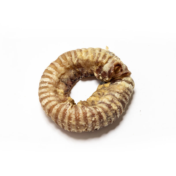 Dried Beef Trachea Ring – Pets Pantry