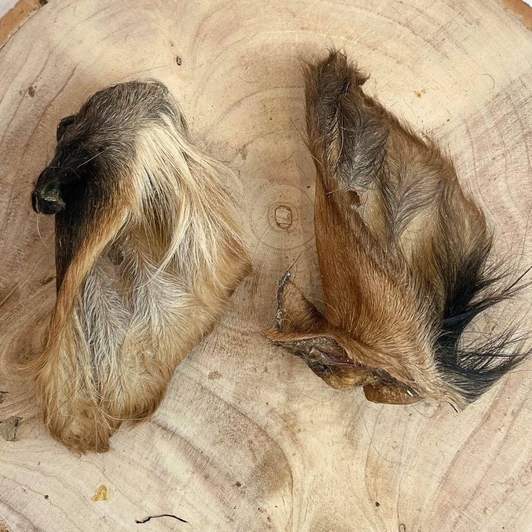 Hairy Cow Ears - Natural and Dental-Friendly Chews for Dogs – Pets Pantry