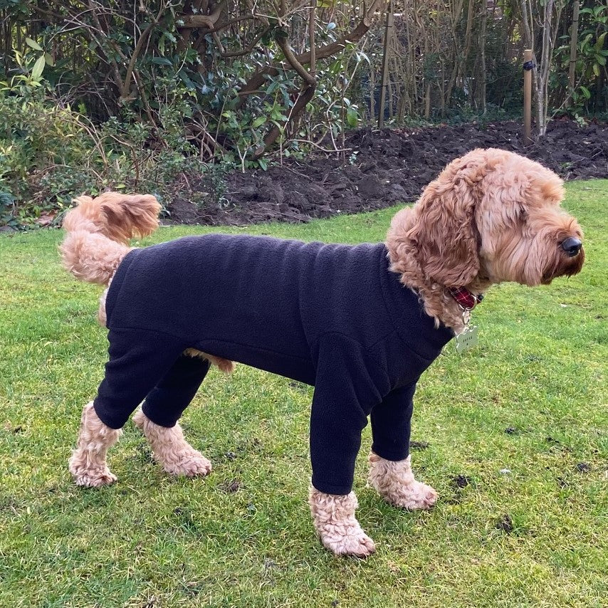 Pawsome Suits - 4 Leg Dog Suit - Black – Pets Pantry