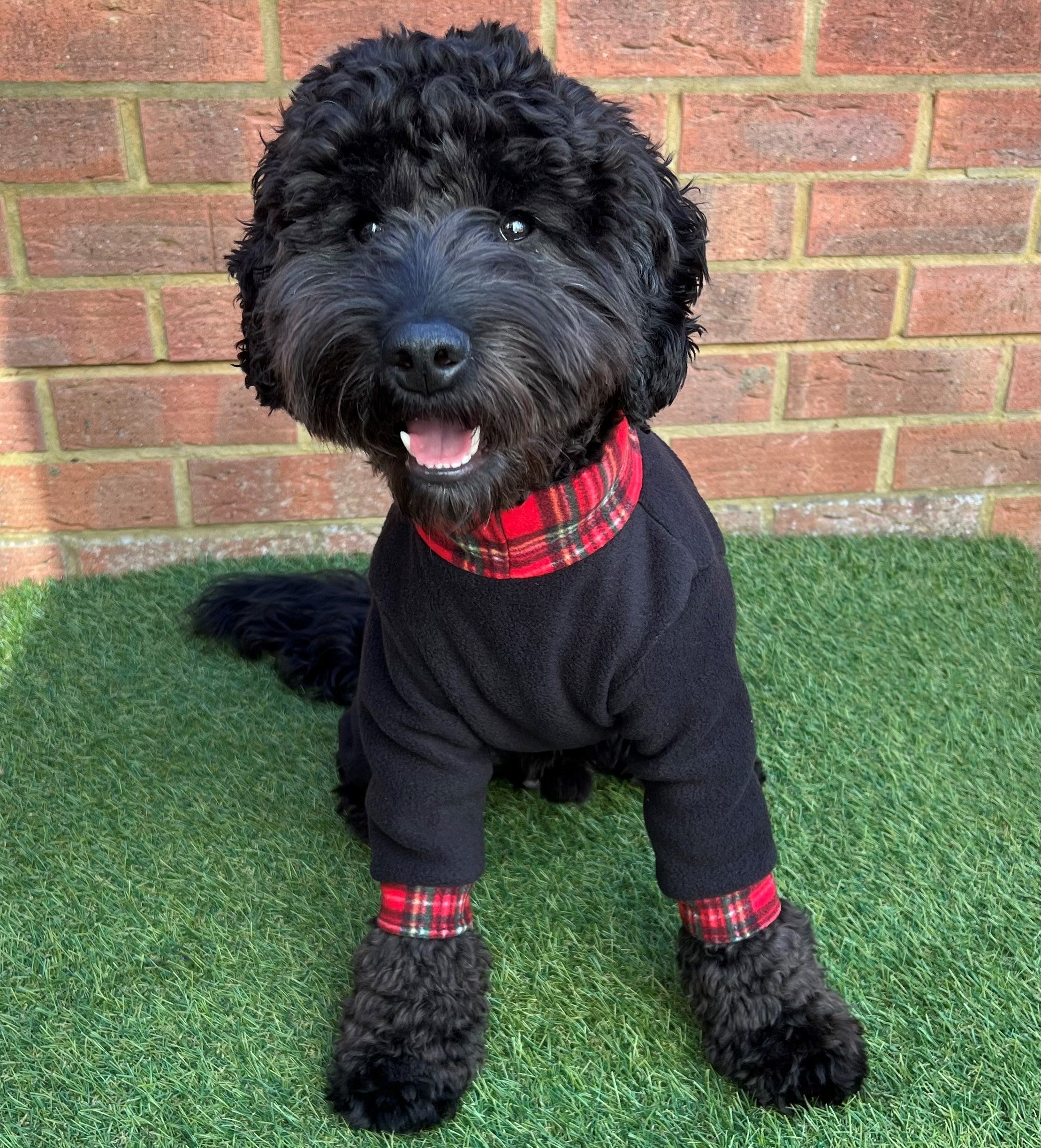 Pawsome Suits - 4 Leg Dog Suit - Check & Tartan – Pets Pantry