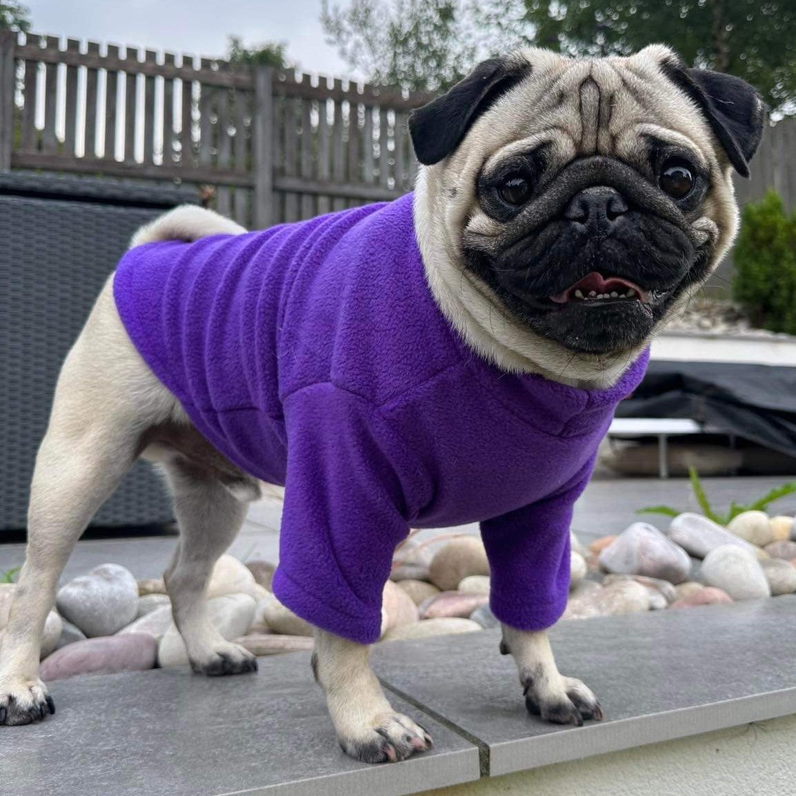 Pawsome Suits - French Bulldog / Pug 2 Leg Fleece Suit - Purple – Pets ...